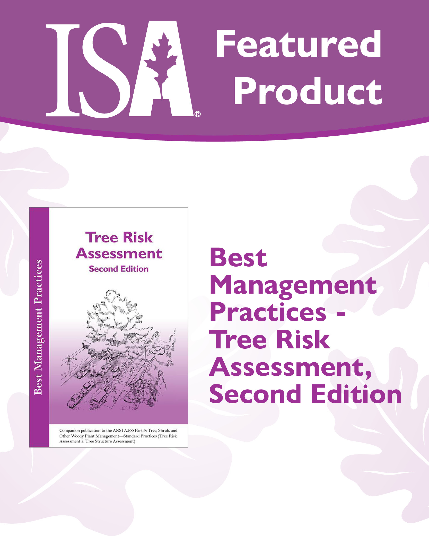 Learn How to Better Assess Tree Risk with this BMP